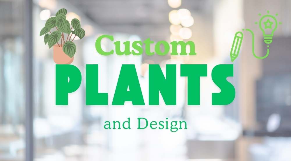 Custom Planters and Design Ideas for Modern Office Spaces – Plants for ...